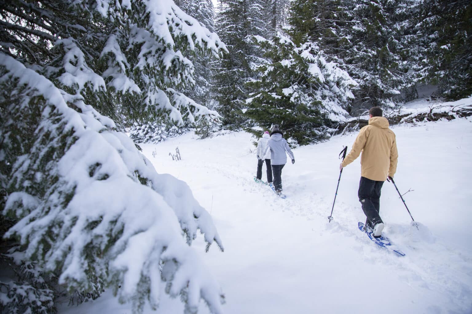 Station des Rousses : Haut-Jura Franco-Suisse