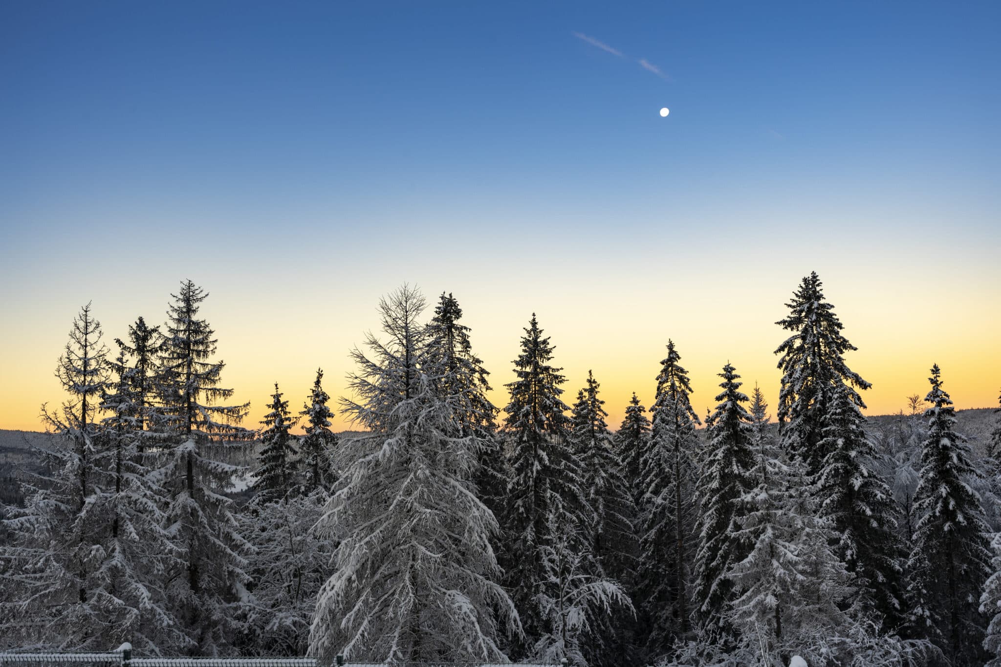 Infos pistes Station des rousses